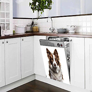 Dishwasher Magnet Sticker Border Collie 1 Year Old Portrait Against White Magnetic Refrigerator Sticker Appliance Covers Home Kitchen Decor for Fridge Metal Door Garage 23x26in