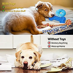 Zeaxuie 20 Pack Valued Puppy Toys for Teething Small Dogs - Puppy Chew Toys with Rope Toys, Dog Treat Balls & Dog Squeak Dog Chew Toys