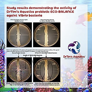 DrTim’s Aquatics Eco-Balance for Saltwater Aquariums – Multi-Strained, Supportive Probiotic Bacteria to Maintain a Balanced Fish Tank Environment-4 oz.