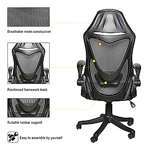 Ergonomic Home Office Desk Chair – Computer Mesh Adjustable Task Swivel Tilt Tension Armless Cushion Mid-Fiber Mesh Lumbar Support (Black D03(2))