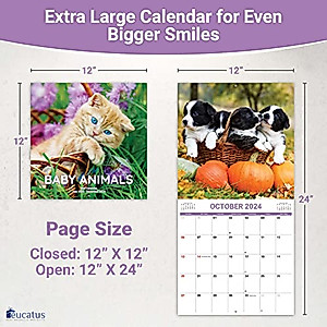 Super Cute 18 Month Baby Animals Wall Calendar 2023-2024. Big 12x12 Inch Novelty Gift With Puppies, Kittens and More. Great for Men, Women or Kids. Perfect Stocking Stuffer or Decor for Animal Lovers.
