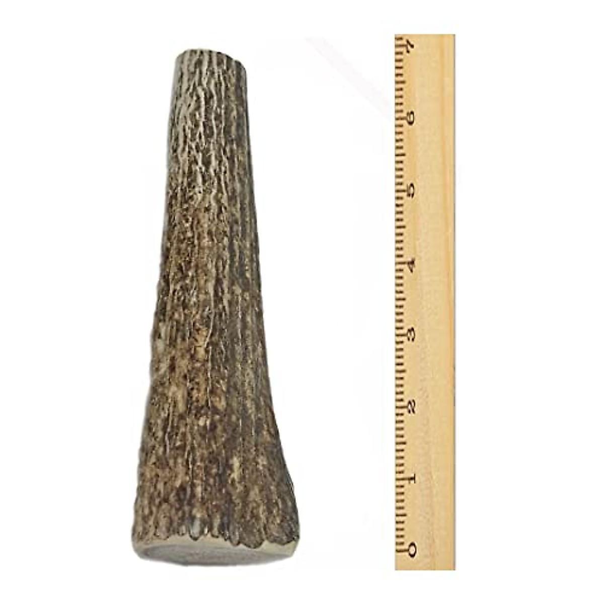 WhiteTail Naturals | Large, Whole Elk Antlers for Dogs | Dog Chews | Naturally Shed Antler Bone Chew Toy