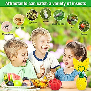 Fruit Fly Traps Refills with 16pcs Sticky Pads Traps, Safe 4pcs Gants Trap Bait Refills Liquid Replacement for Indoors Outdoor Kitchen Home Plant, Fruit Flies Refills for Reusable Fruit Fly Trap