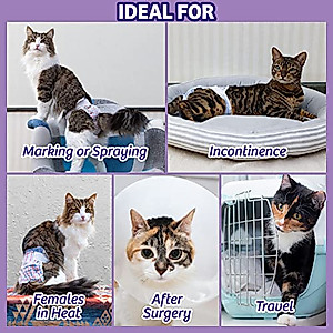 Hartz Disposable Cat Diapers, Easy to Put On, Comfortable & Secure Fit for 12 Hours Leak Protection, Multiple Sizes