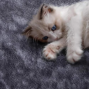 Yaheetech 36in Cat Tree Cat Tower Cat Condo Play House Climber Stand Furniture w/Scratching Post, Plush Perch, Dangling Ball, Two Condo and Ramp, Suit for Kittens, Cats and Pet