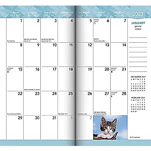 Kitten Cuddles | 2023-2024 3.5 x 6.5 Inch Two Year Monthly Pocket Planner | BrownTrout | Animals Cute Cat Feline