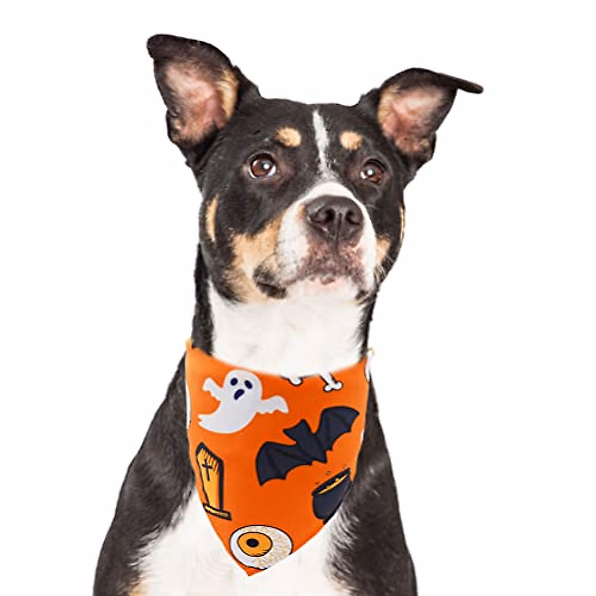 3 Pack Halloween Thanksgiving Christmas Dog Bandana Christmas Triangle Bibs Dog Scarfs Soft Comfortable Washable with Charming Patterns
