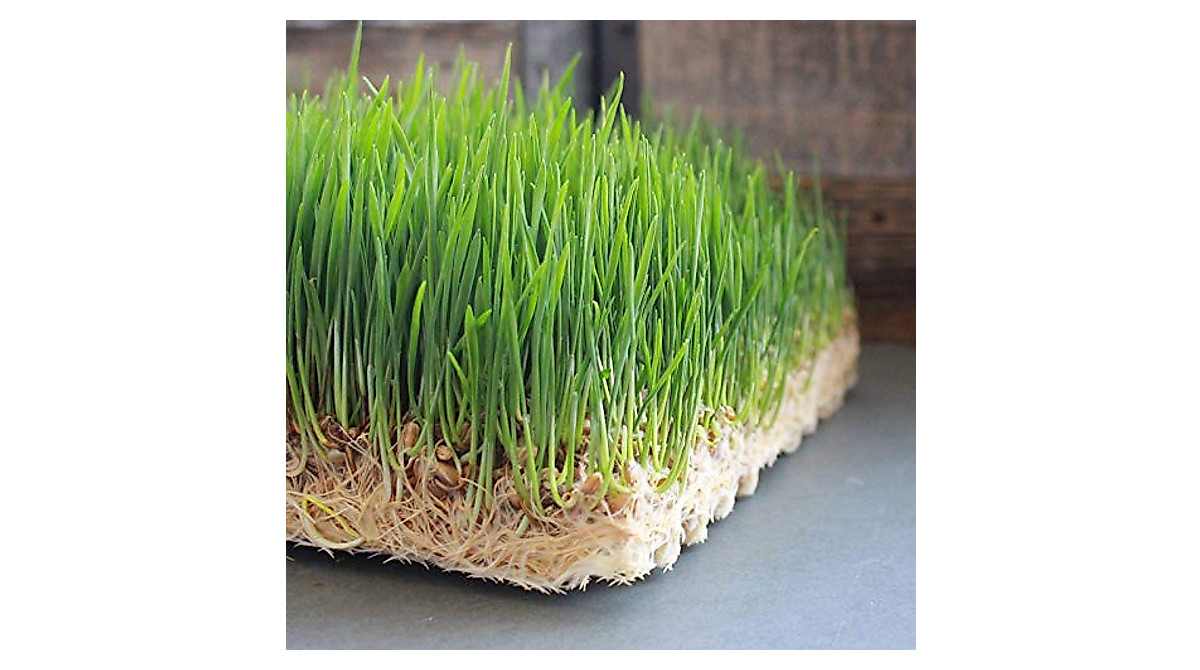 Pro Micro Jute Grow Mats - Hydroponic Pads for Microgreens