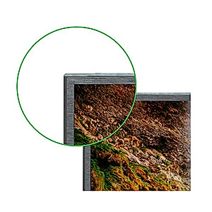 Sceptre 32" Class HD (720P) LED TV (X322BV-SR)