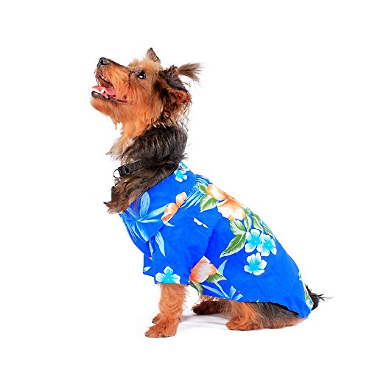 Hawaiian Matching Pattern Dog Aloha Shirt in Hibiscus Blue Size Small