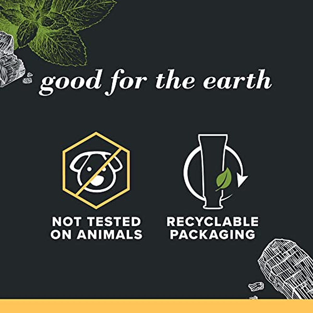 Burt’s Bees Toothpaste, Natural Flavor, Charcoal Fluoride-Free Toothpaste, Zen Peppermint, 4.7 oz, Pack of 3