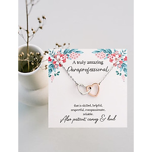 TIIMG Paraprofessional Gift A truly Amazing Paraprofessional Gift Teaching Assistant Gift (Paraprofessional)