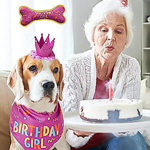 IDOLPET Dog Birthday Bandana Large Dog Birthday Hat Happy Birthday Dog Bone Toy Dog Party Set Pet Happy Birthday Party Suppliers Dog Birthday Accessories and Pet Decorations (Pink)