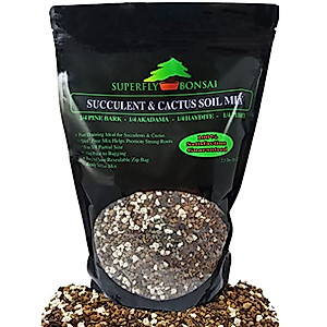 Succulent & Cactus Soil Mix - Premium Pre-Mixed Fast Draining Blend (2.5 Dry Quarts)