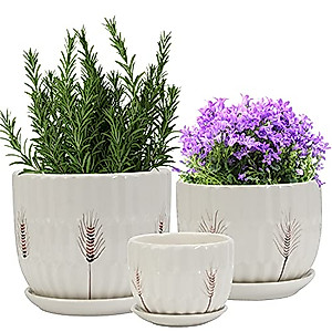 Laerjin Plant Pots 4.17" & 5.62" & 6.88" Flower Pot with Drainage Holes and Saucers, Set of 3 Ceramic Plant Pot with Tray, Outdoor Small to Medium Sized Round Modern Ceramic Garden Flower Pots