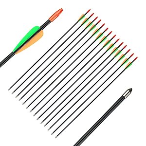 Huntingdoor 28inch/26inch Archery Targeting Arrows Youth Arrows Practice Arrows for Kids Beginner Fiberglass Arrows for Recurve Bow 12 Pack (Black 28inch)