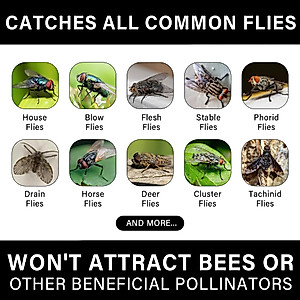 Hescaz Pack of 6 Fly Bags Outdoor Disposable, Fly Traps Outdoor, Includes 6 Baits, Fly Catcher Outdoor for Butcher's Stall, Orchards, Barns, Ranch, Farm, Patio, Camping