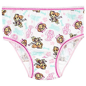 Paw Patrol Girls' Skye and Everest Underwear Size 5 Multicolored