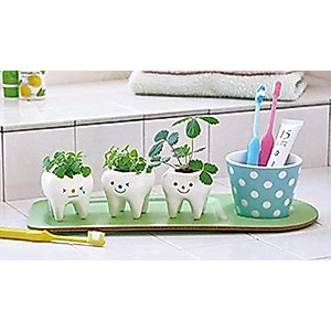 MONMOB Pack of 3 Mini Shaped Tooth Planter Ceramic Succulent Plant Pots Set for Small Succulent Tooth Gifts for Adults Kids Women Dentist