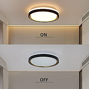 Hurrah LED Ceiling Light Fixture with Remote Control - 17W Flush Mount Dimmable Ceiling Lamp Black Round 2700K-6500K 11.8in Close to Ceiling Lighting for Bedroom Living Room Hallway Kitchen
