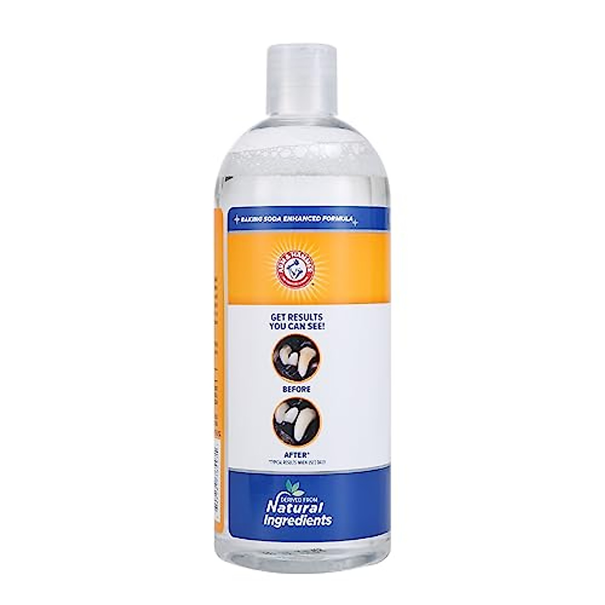Arm & Hammer for Pets Dental Water Additive for Dogs, Tartar Control | Dog Dental Care Reduces Plaque & Tartar Buildup Without Brushing | 16 Fl Oz (Pack of 1), Odorless and Flavorless