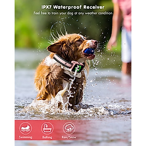 Haoteful Dog Shock Collar with Remote 2600FT, Shock Collar for Large Dog, Medium Small Dogs 8-120lbs, Electric Dog Training Collar with 3 Modes Beep, Vibration, Static Shock, Security Lock (Pink)