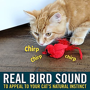 OurPets Play-N-Squeak Real Birds Interactive Cat Toys with Catnip (Cat Toys for Indoor Cats, Catnip Toys, Catnip Toys for Cats with Bird Chirping Electronic Sound and Feather)