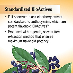 Nature's Way Sambucus Sugar-Free Elderberry Syrup, Traditional Immune Support*, 8 Fl Oz.