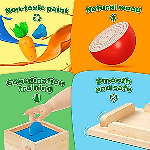 5-in-1 Wooden Play Kit Montessori Toy - Object Permanence Box, Coin Box, Carrot Harvest, Catch Worm, Shape Sorter - Toddler Learning Toy for Kid Age 1, 2, 3 Year Old, Girl boy Gift for Baby 6-12 Month