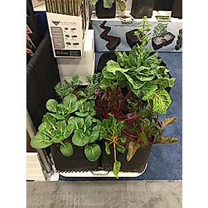 3 ft X 6 ft Victory 8 EZ-GRO Med Rectangle Raised Garden Bed Just Right Size AeroFlow Proprietary Fabric Grow Your OWN