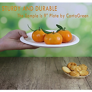 CantaGreen 6 inch Compostable Dessert Plates,100 Count Heavyduty Sugarcane/Bagasse and Bamboo Fibre Biodegradable Disposable Paper Plate