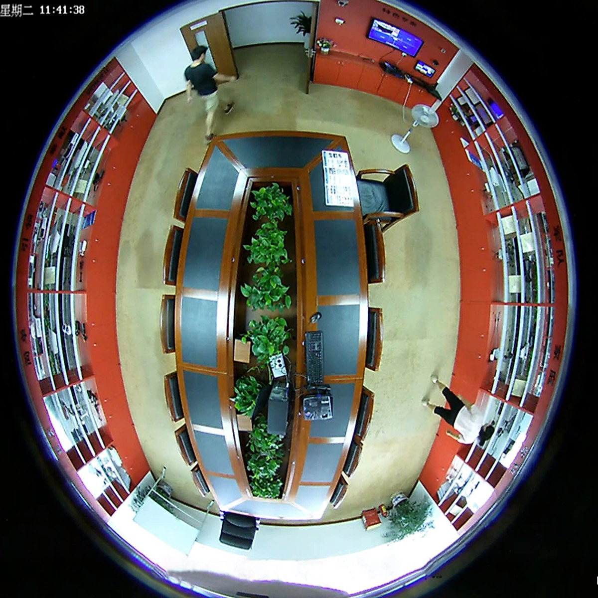 HD 1080P 360 Degree Dome Surveillance Cameras Indoor Outdoor 4 in 1 (TVI/AHD/CVI/CVBS BNC Analog System) 1.44mm Fisheye CCTV View Round Wide Angle Security Camera Coax