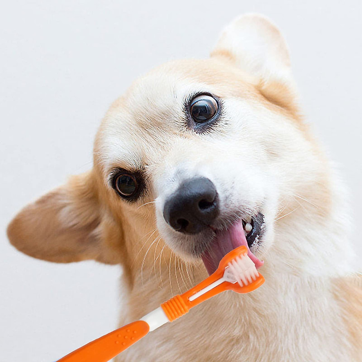 Dog Toothbrush Soft Bristles Non-Slip Handle Dental Care Plastic Three Sided Oral Cleaning Toothbrush for Home Atrovirens