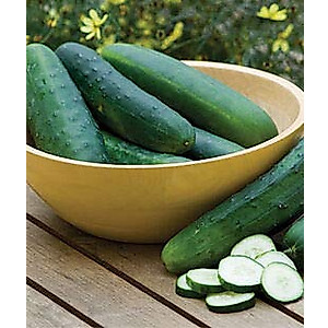 "Crispy Green" Cucumber Seeds for Planting, 25+ Seeds Per Packet, (Isla's Garden Seeds), Non GMO & Heirloom Seeds, Botanical Name: Cucumis sativus, Great Home Garden Gift