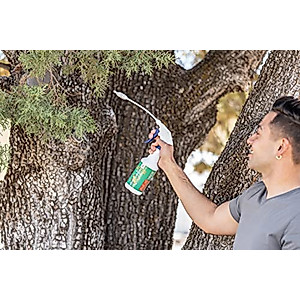 Donaldson Farms Carpenter Bee Killer Spray for Insects All Natural Foaming Spray, 16 oz