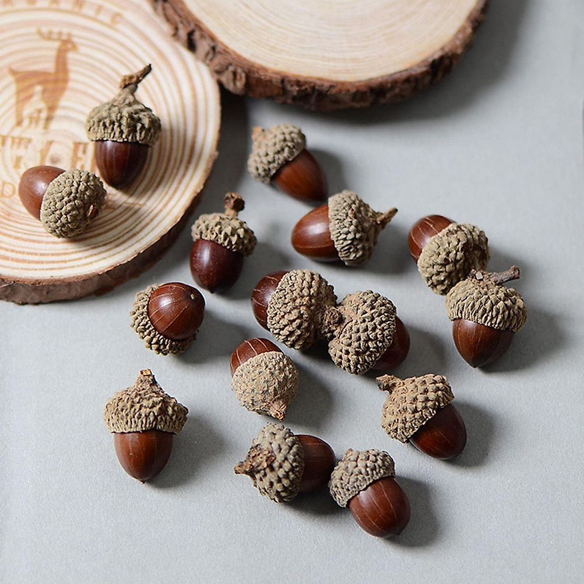 200Pcs Natural Acorns Caps Decorative for Craft Vase Fillers Home Garland Autumn Embellishments Ornaments Vase Fillers