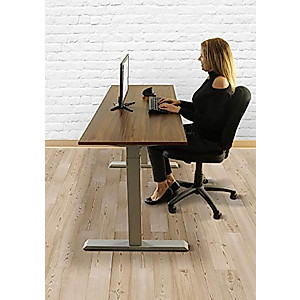 TechOrbits Electric Standing Desk Frame 60 x 24 Inch Tabletop - Motorized Workstation Two Leg Stand Up Desk with Memory Settings and Telescopic Sit Stand Height Adjustment (Grey Frame/Wood Top)