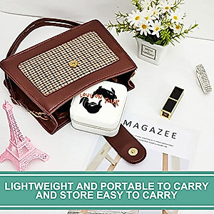 Inspired Jewelry Organizer Box HS Singer Merch Portable Travel Jewelry Case Storage Holder (Love On Tour)