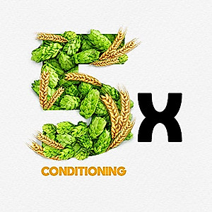 Park Avenue Damage Free Hair Beer Shampoo Made From Real Bear 350ml