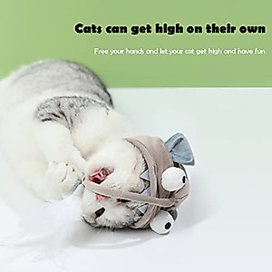 YIDUHONG Head Mounted Cat Headgear Interactive Self-Service Adjustable Size Cat hat Feather Toy，Kawaii Design，Grey Bigeye Fish