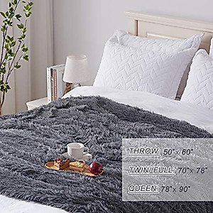 NexHome Soft Shaggy Faux Fur Blanket Throw Blanket 50" x 60", Solid Reversible Fluffy Cozy Comfy Microfiber Long Faux Fur Decorative Blankets for Sofa Couch Bed Chair Photo Props,Light Gray