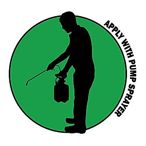 EnviroColor 4EG0032 851612002100 (1,000 Sq.Ft) 4Evergreen Grass & Turf Paint, Green