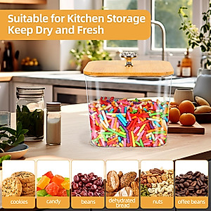 POLRAI 3 Pack Laundry Room Organization Storage Containers 2 Half Gallon Laundry Pod Containers and Dryer Sheet Holder with Lids and Labels for Laundry Detergent Laundry Pods Dry Sheet Organizing