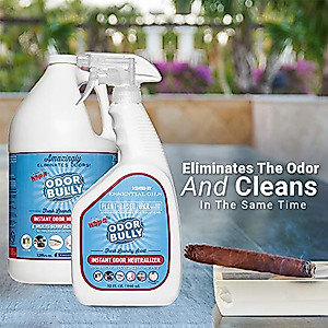 Whip-It Odor Bully Instant Odor Neutralizer Spray - Stain Remover and Odor Eliminator for Home and Car in One - Gallon and 32oz Spray
