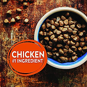 Wellness Natural Pet Food CORE Natural Grain Free Dry Puppy Food, Large Breed Puppy, 24-Pound Bag