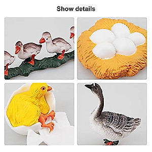 Toymany 16PCS Life Cycle of Goose White Swan Chicken Duck Farm Animals Figures, Plastic Safariology Growth Cycle Eggs Figurines Toy Kit School Project Cake Topper for Kids Toddlers