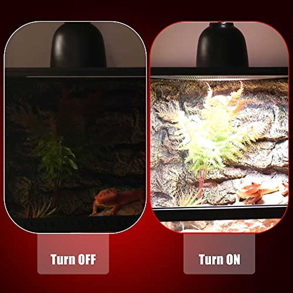 Makmzoon 2Pack Reptile Heat Lamp Bulb,75W UVA Basking Spot Lamp of Bearded Dragon,Heat Bulbs for Reptiles,Reptile Basking Spot Bulb,Sun Heat Bulb for Bearded Dragon Turtle Tortoise