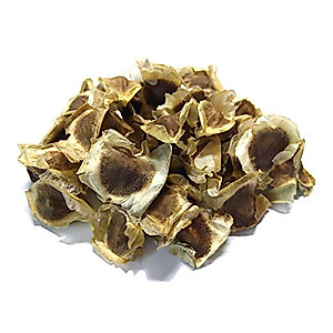 Dwarf Moringa Tree Seeds | 20+ Seeds to Grow | Highly Nutritious Leaves and Seeds, Edible and Tasty. Ships from Iowa, USA