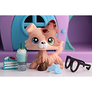 Judy Custom Erect Ears Butter Collie, OOAK Rare Figures Tan and Brown Buddy with Different Eyes with lps Accessories