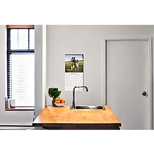 2023 2024 Norwegian Elkhound Calendar - Dog Breed Monthly Wall Calendar - 12 x 24 Open - Thick No-Bleed Paper - Giftable - Academic Teacher's Planner Calendar Organizing & Planning - Made in USA